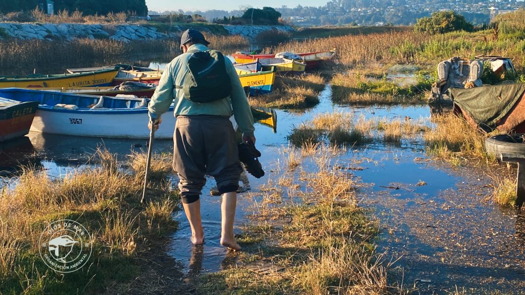 Río Maipo: otro río que no llega al mar > Columnas de opinión ...