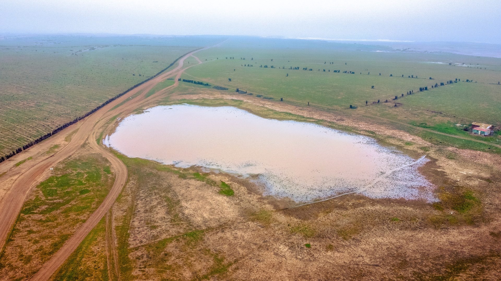 Charcas estacionales en el norte verde: ¿Humedales descartables ...