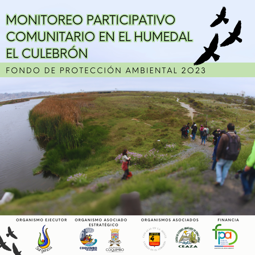Monitoreo participativo comunitario en el humedal El Culebrón > Proyectos > Plataforma Costera ...