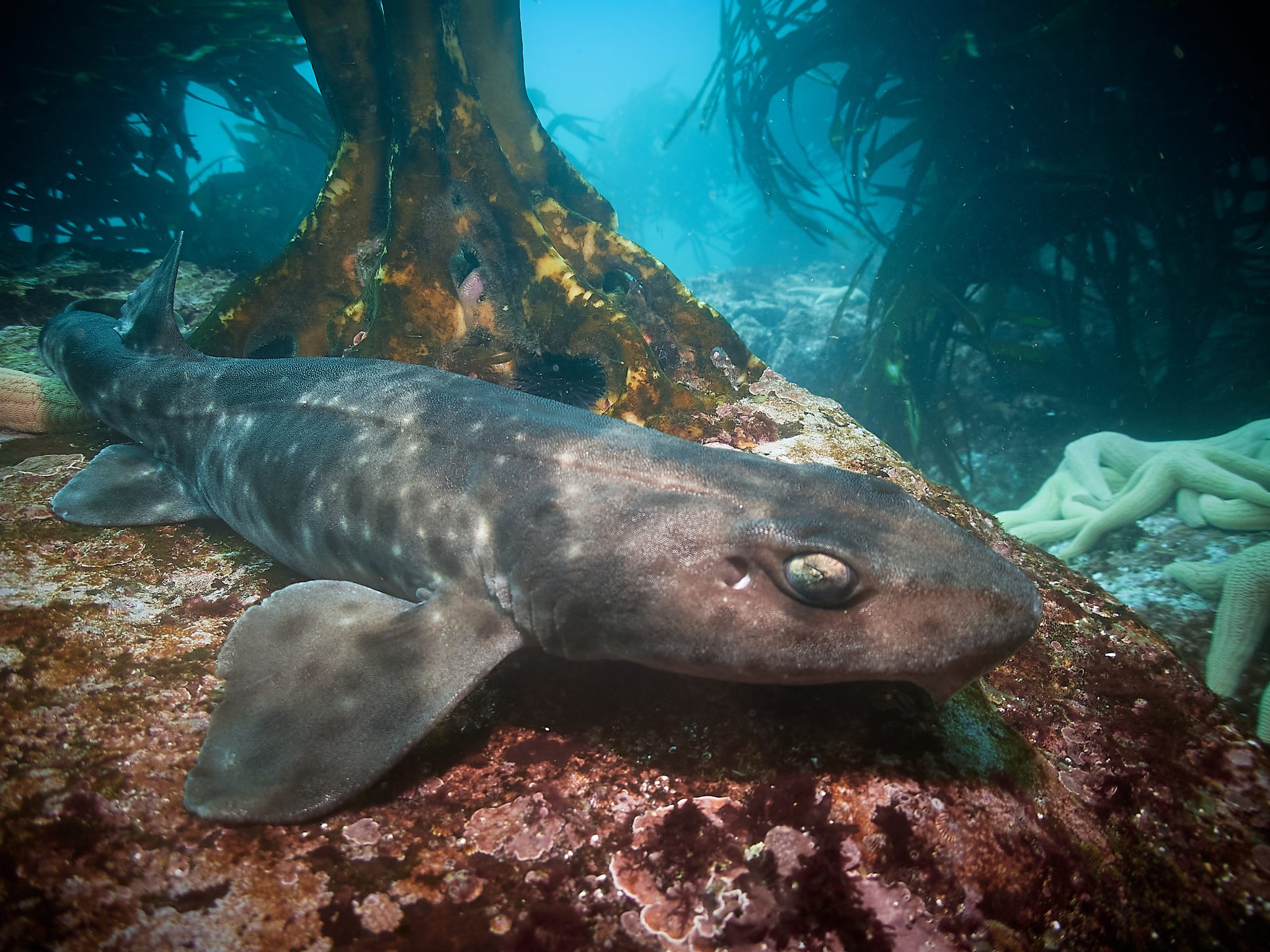 Encuentro internacional profundiza en el intercambio de experiencias ...